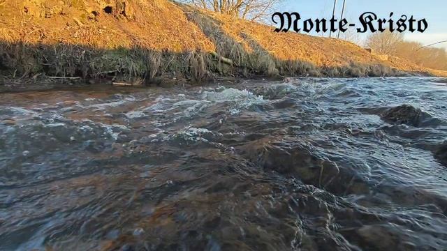 𝕸𝖔𝖓𝖙𝖊-𝕶𝖗𝖎𝖘𝖙𝖔 Успокаивающее журчание воды для снятия стресса Река в лесу: Музыка природы .