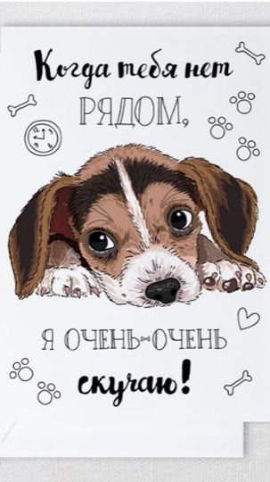 Вас уже очень ждууууут! 🥰🐕