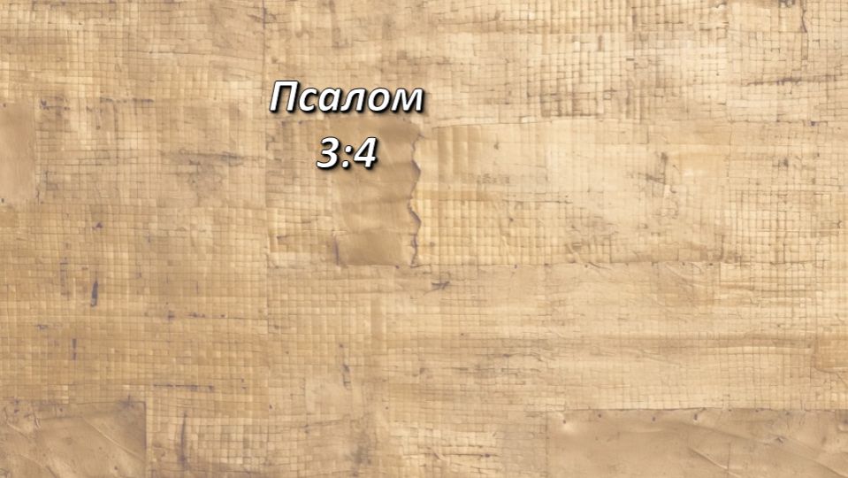 Стих дня. Псалом, 3;4.