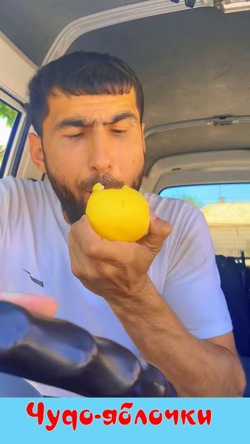 Юмор 5 звезд - #юмор #смешно #ржач #прикол #анекдот #веселоевидео