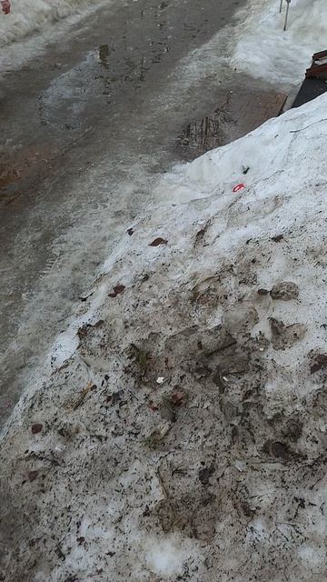 №1940 ул. Сибирская. 27 марта 2026 г., 18:04:04 VID_20260327_180332503