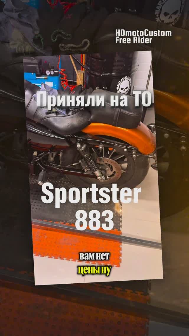 Harley Sportster 883 приняли на ТО