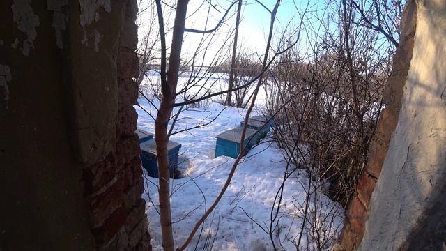 Весенняя подкормка пчел с заменой холстиков на пленку!