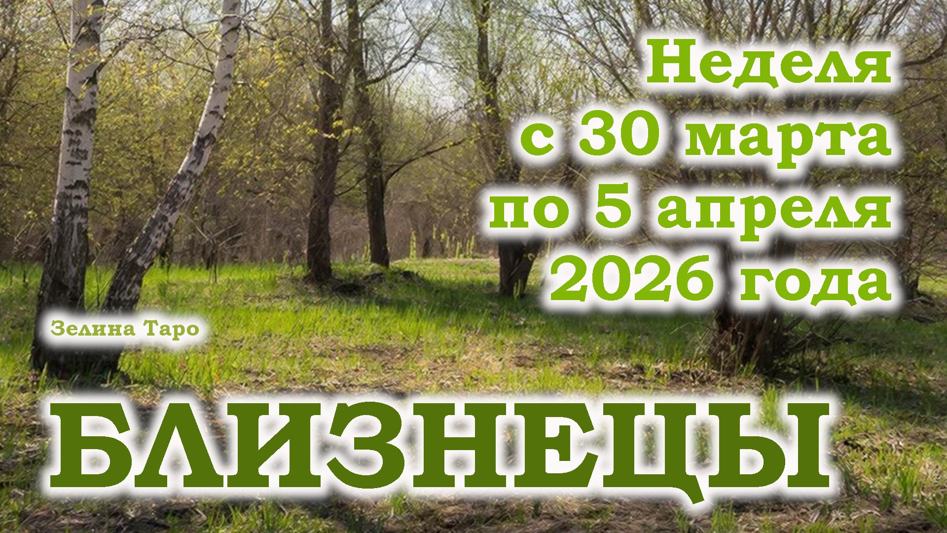 БЛИЗНЕЦЫ | ТАРО прогноз на неделю с 30 марта по 5 апреля 2026 года