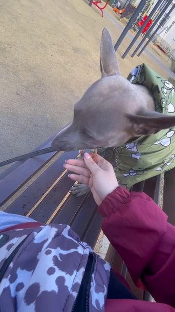 Главный пограничник всей страны!)