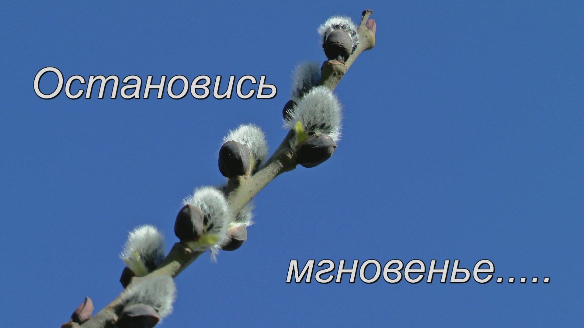 Остановись мгновенье....