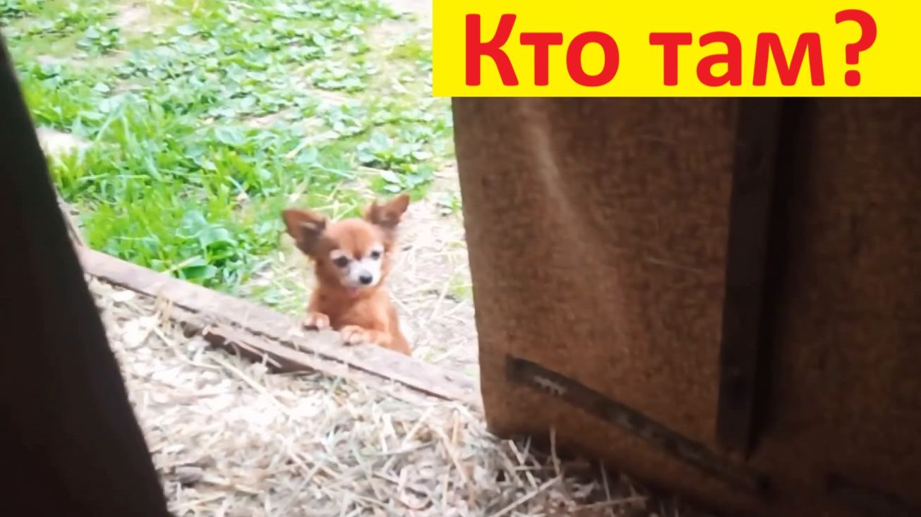 Как вы там на новом месте?