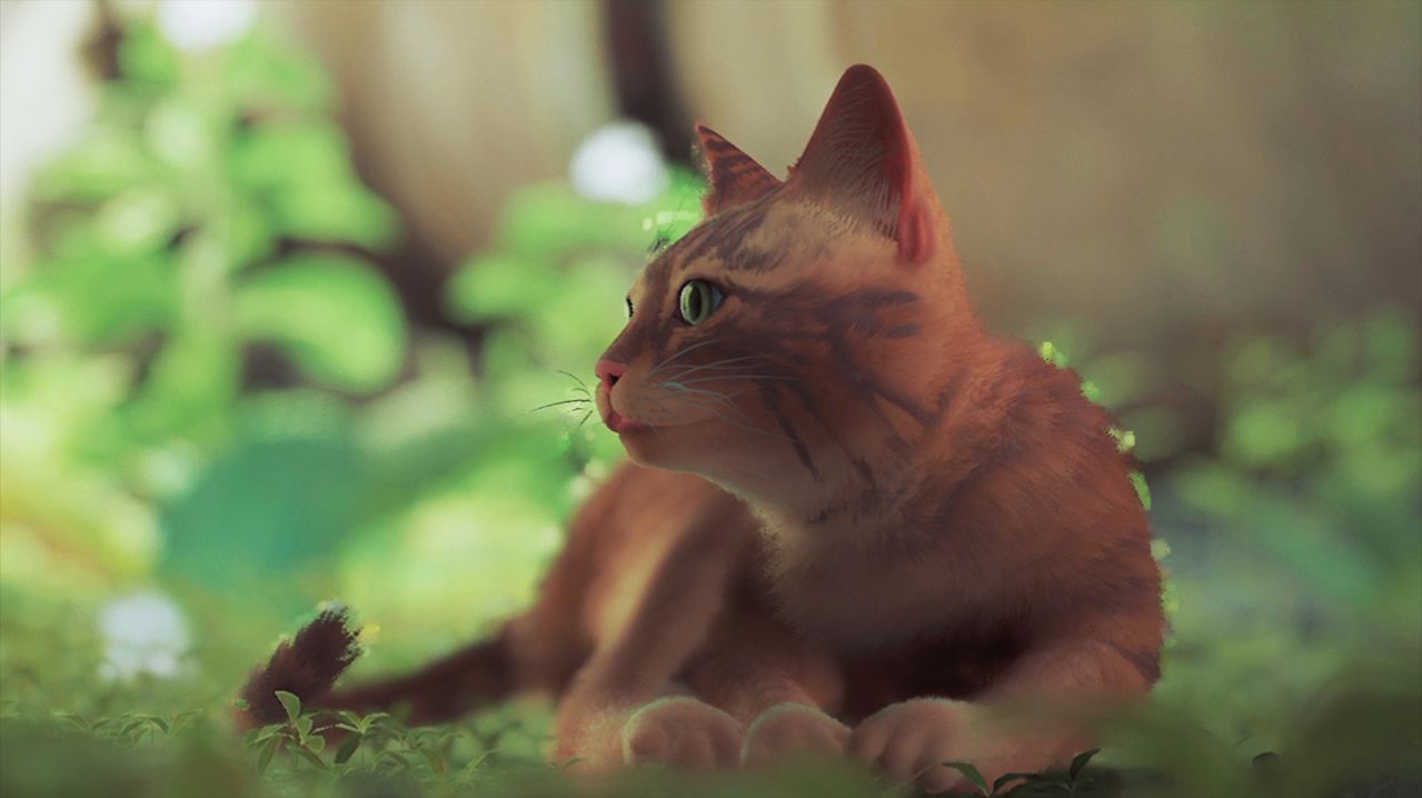 ШЕРСТЯНОЙ ХАКЕР...(Stray)