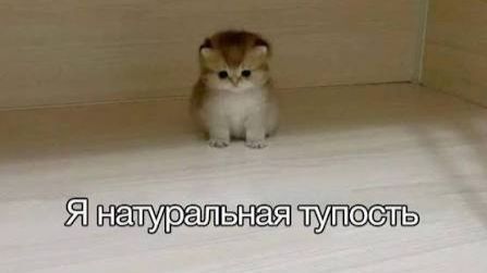 Павел Пиковский - Меняй_караоке