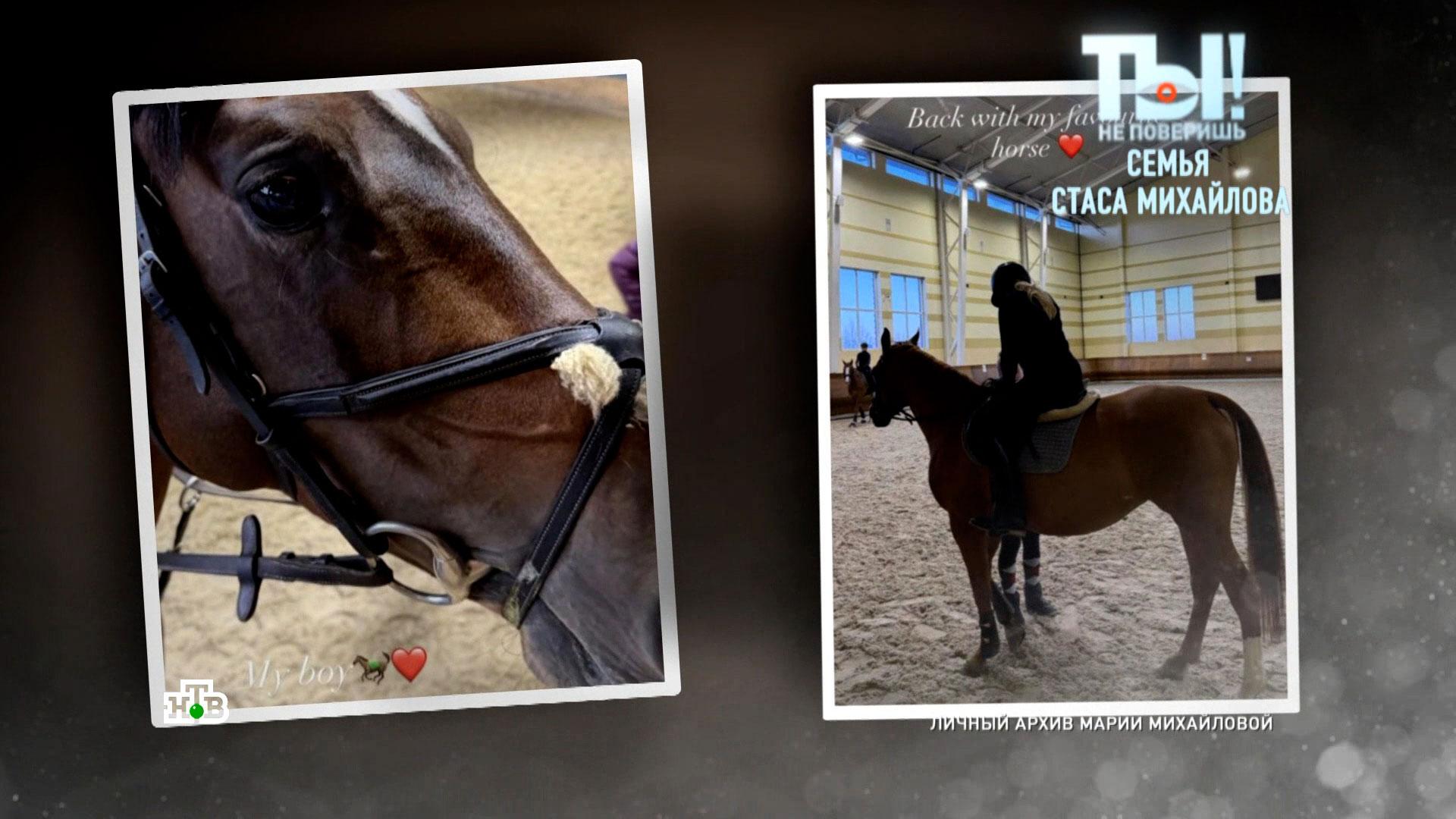 Увлеченная конным спортом дочь Михайлова попросила купить ей лошадь | «Ты не поверишь!»