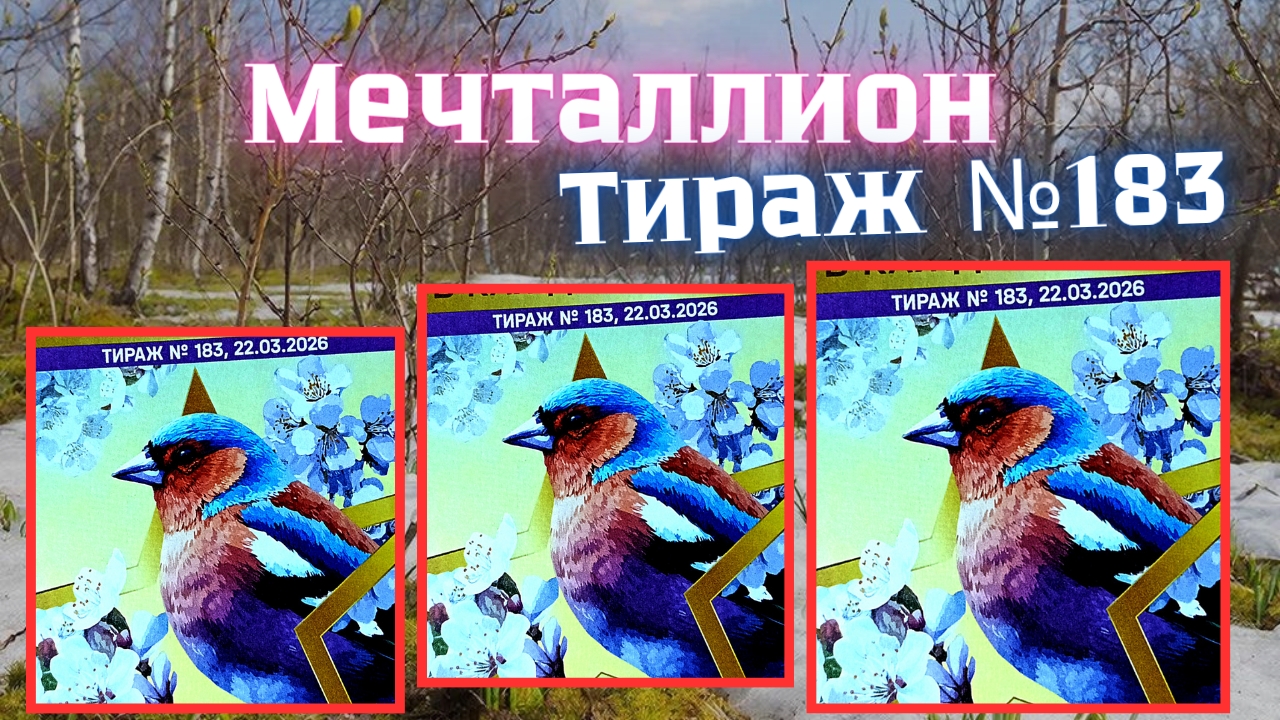 Проверить билет лотереи Мечталлион тираж №183 от 22 Марта 2026, Национальная лотерея!