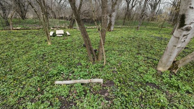 27,28 марта 2026г.Продолжаю огораживать огород.Красота в лесу))