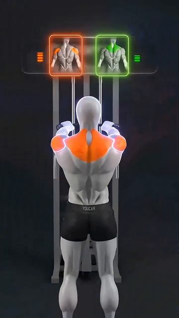 Тренируйте дельтовидные и трапециевидные мышцы правильно. #technique #sports