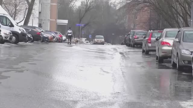 Что стекает с берега в Химкинское водохранилище. 30.03.2021