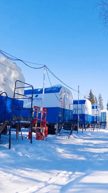 При поиске нефти - живут в лесу
