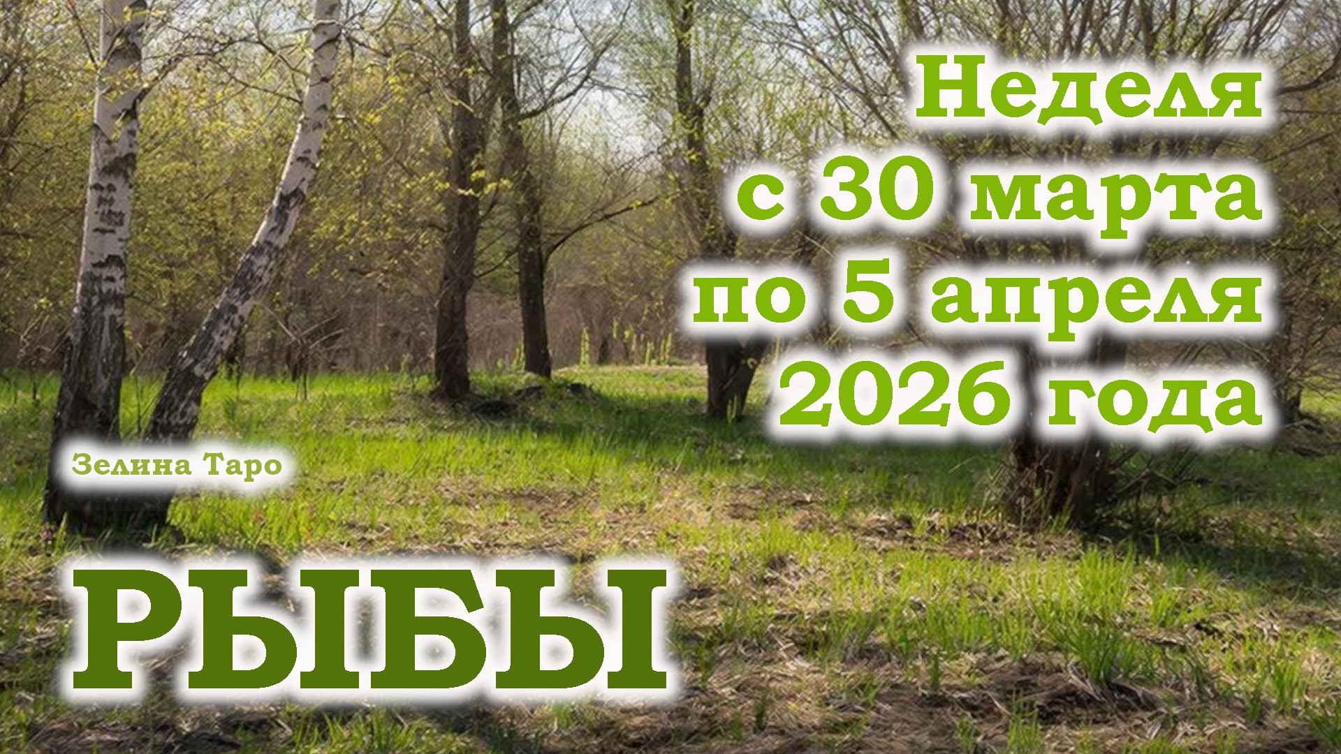 РЫБЫ | ТАРО прогноз на неделю с 30 марта по 5 апреля 2026 года