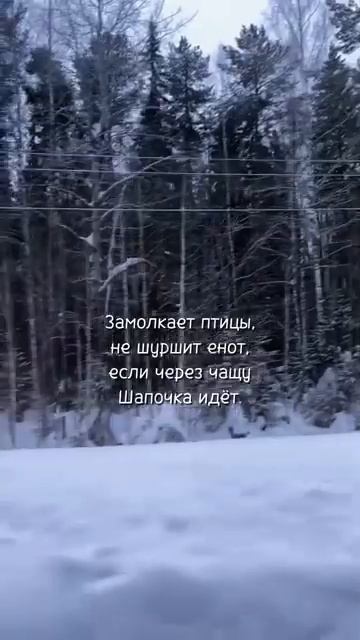 Красная Шапочка на новый лад! Полная версия.