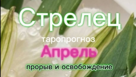 Стрелец♐️ Ваш апрель 2026г.