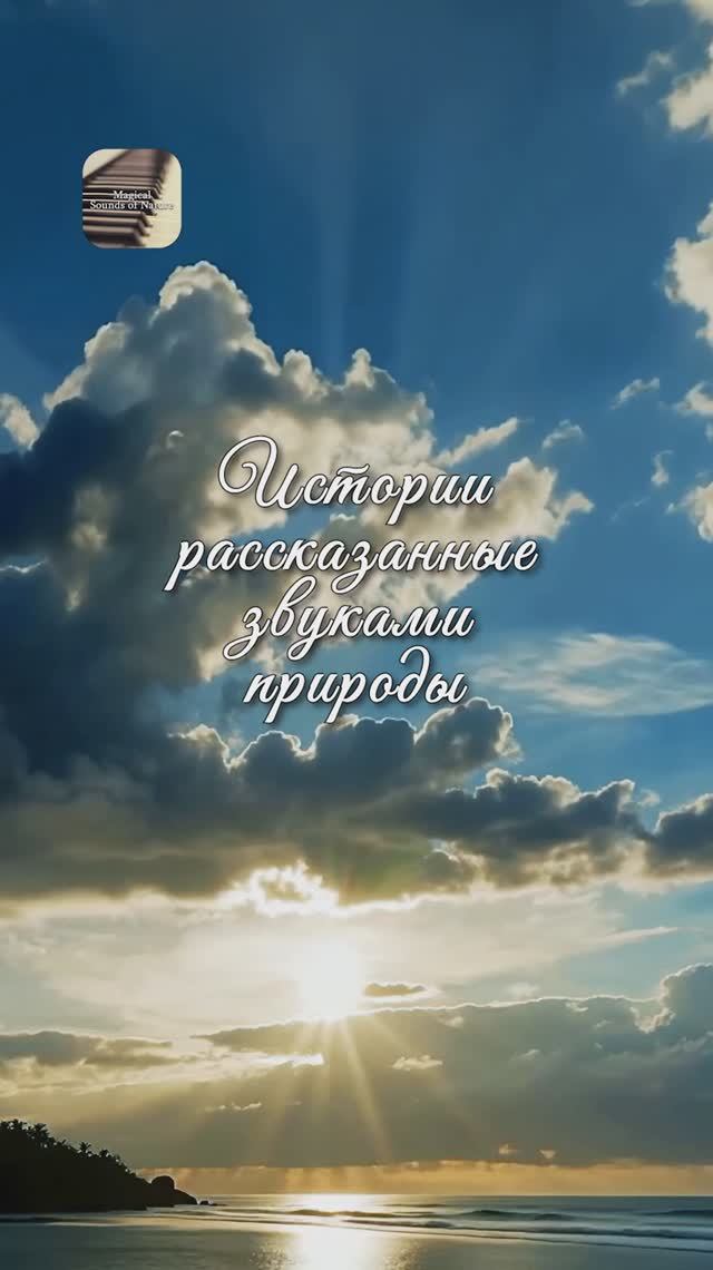 Дыхание моря... Шум дождя... Шелест леса... 🌲🎻🌲