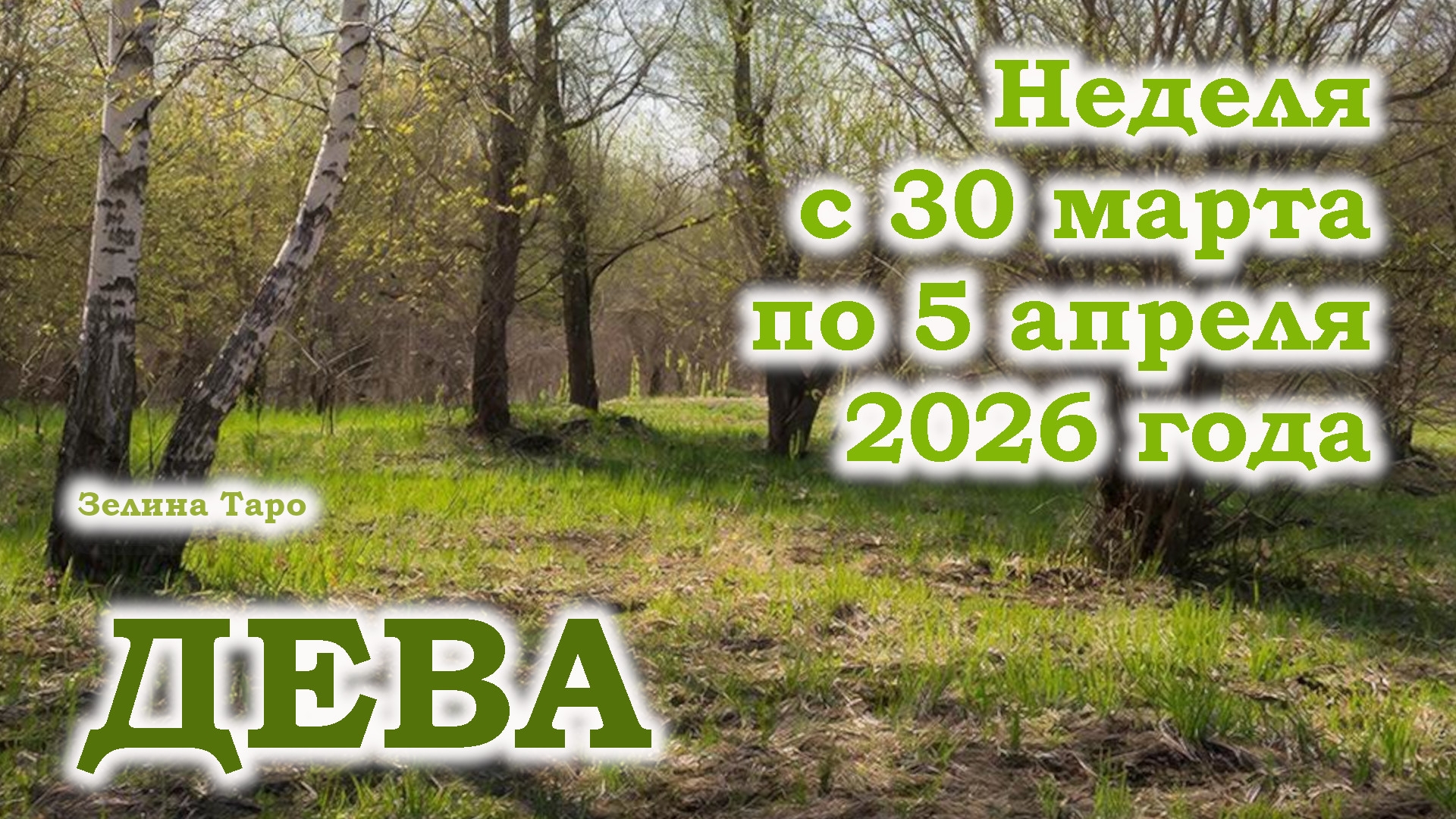 ДЕВА | ТАРО прогноз на неделю с 30 марта по 5 апреля 2026 года