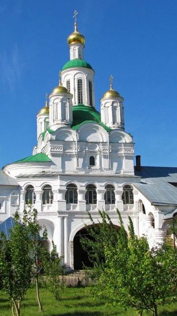 Душевный лекарь#Церковь#shortvideo#shorts#Молитва#Православие