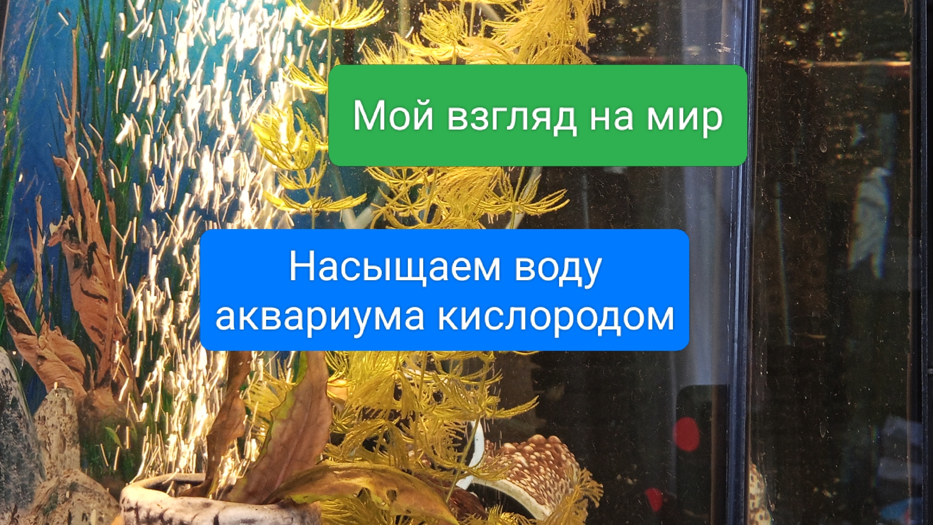 Насыщаем воду аквариума кислородом  ⚗️ 28-03-2026
