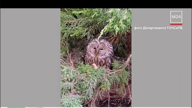 Москва 24 Эпизод выпуска новостей от 13:00 27-03-2026