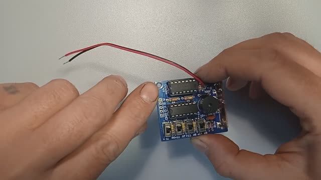 Китайская пищалка.