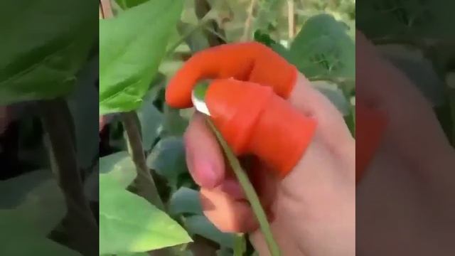 14 ПРИСПОСОБЛЕНИЕ ДЛЯ ПАСЫНКОВАНИЯ