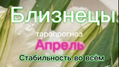 Близнецы♊️ Ваш апрель 2026г