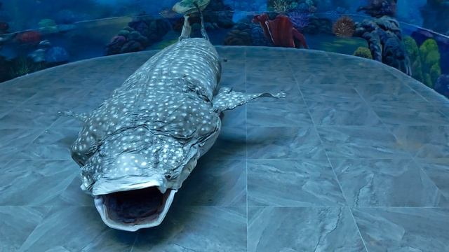 Институт океанографии