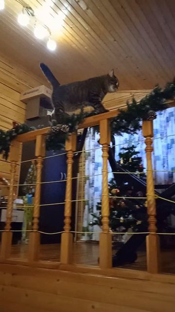 Зачем так много украшений?