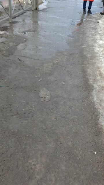 №1908 ул. Белинского. 25 марта 2026 г., 18:30:28 VID_20260325_182937129