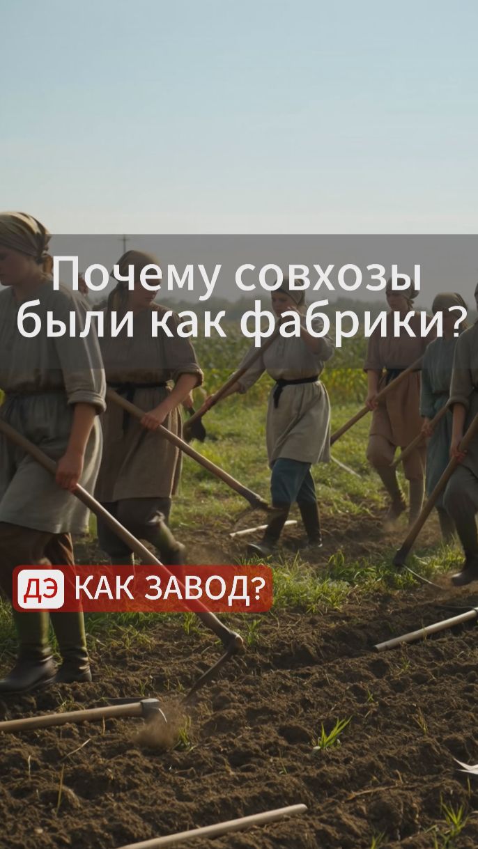 Почему совхозы были как фабрики? #историяссср #колхозы #совхозы