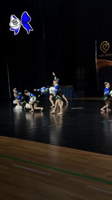 VIII Кубок СК ЧИР ЛИГА