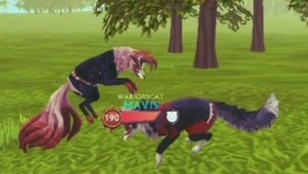 WildCraft Шордц с моей др