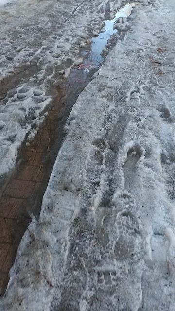 №1915 ул. Сибирская. 26 марта 2026 г., 15:45:19 VID_20260326_154359430