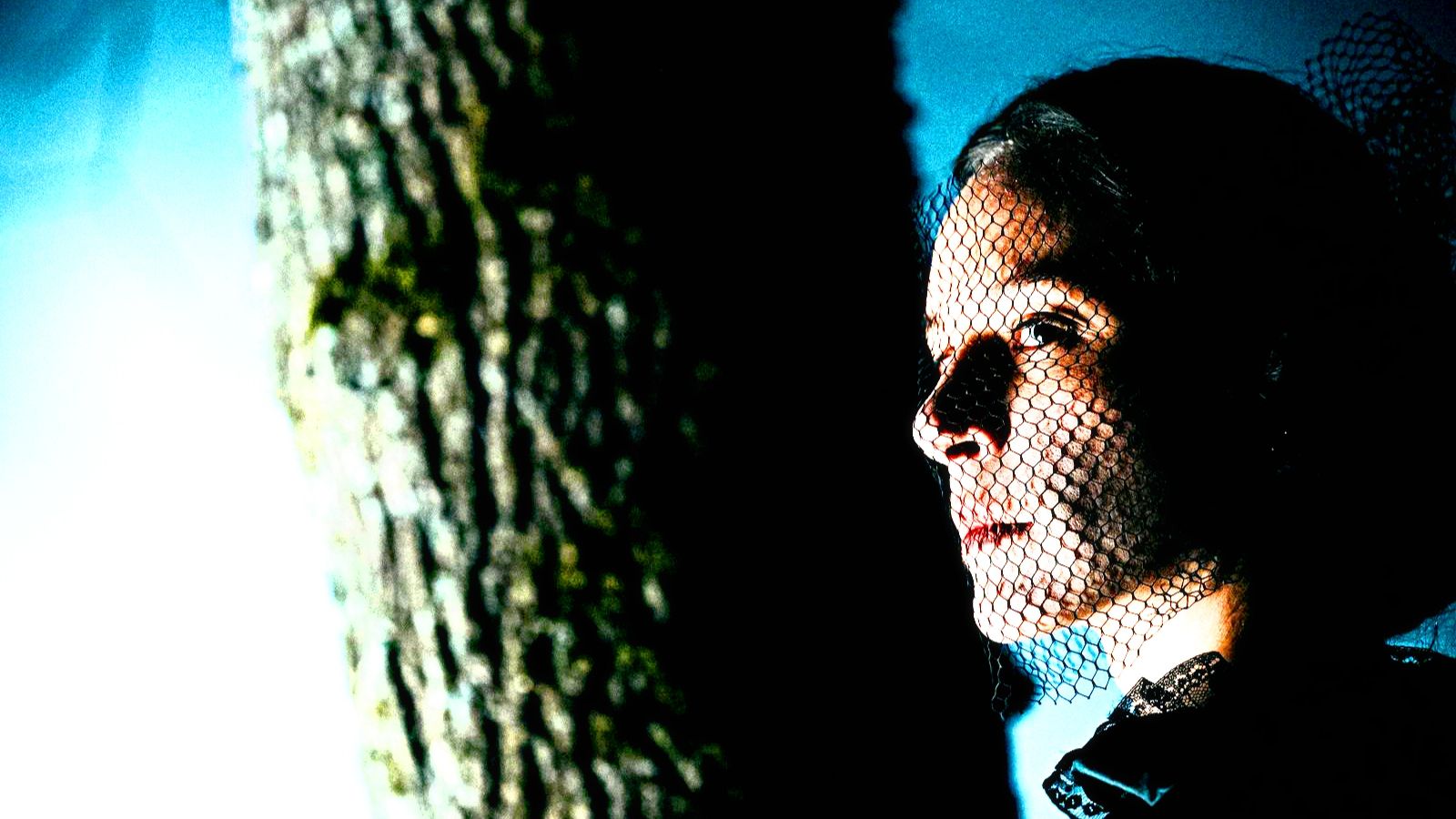 Сюжет и дата входа _Черная графиня 2026