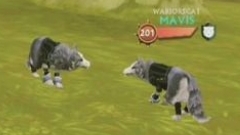 WildCraft шордц волки