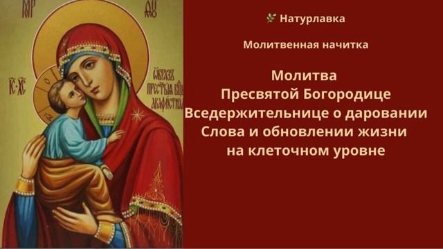 Молитва Пресвятой Богородице о даровании Слова и обновлении жизни на клеточном уровне.