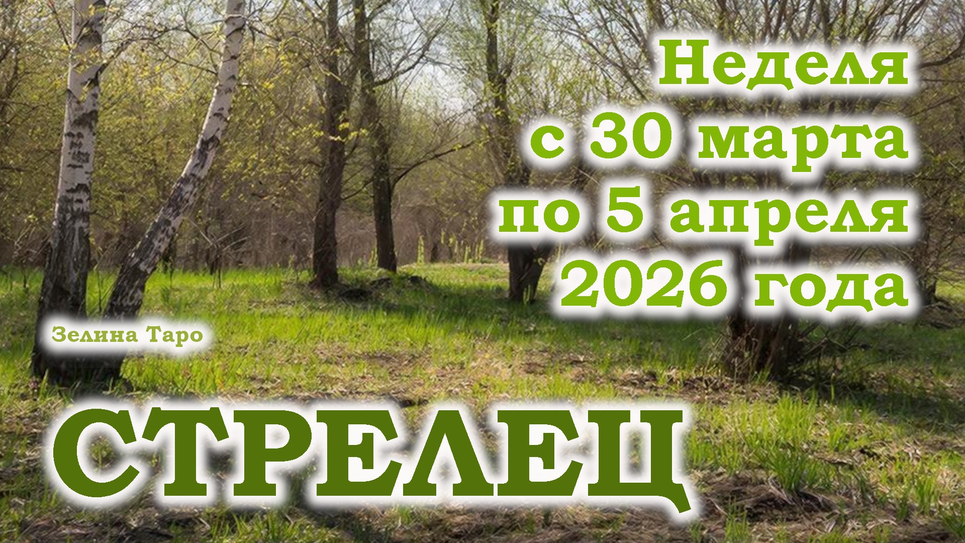 СТРЕЛЕЦ | ТАРО прогноз на неделю с 30 марта по 5 апреля 2026 года