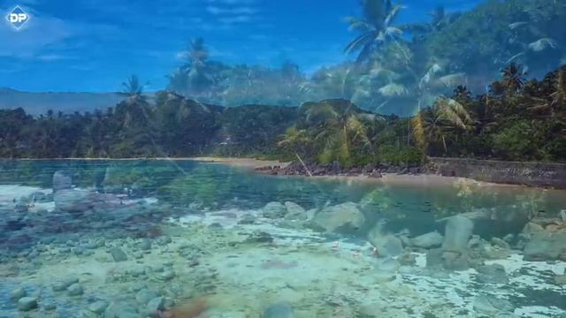 ДИП-ХАУС МИКС |  РЕЛАКС МИКС 2026| ОСТРОВА | ПЛЯЖ 🍹ЛУЧШИЙ ЛЕТНИЙ ВОКАЛ | МУЗЫКА И ПРИРОДА #6