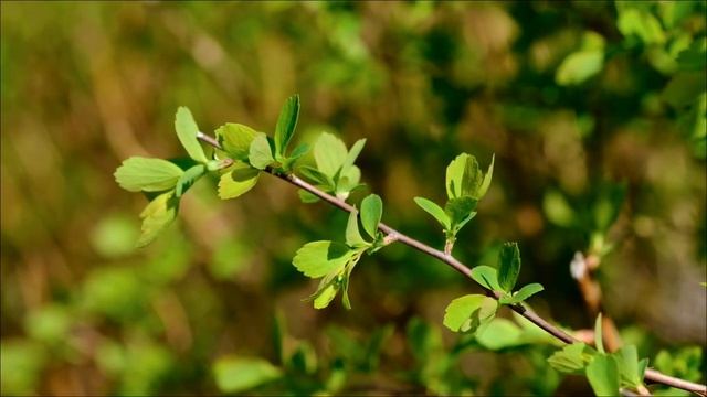 Главная ошибка которую все совершают 28 марта.