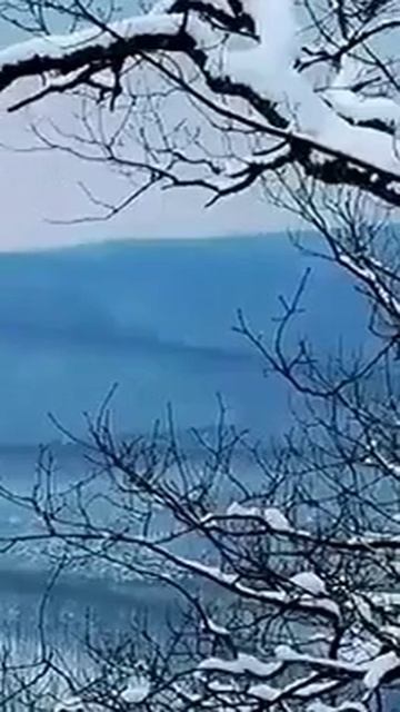 Предскажи своё будущее