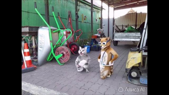 Юбилей - у Витуси!