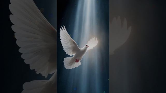 Я Твой навсегда