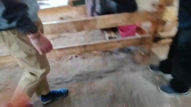 Поездка на Страусиную ферму 2025