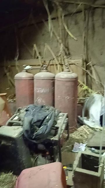 Побег кролика. Часть первая