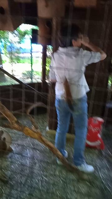 К белкам пришла кормилица