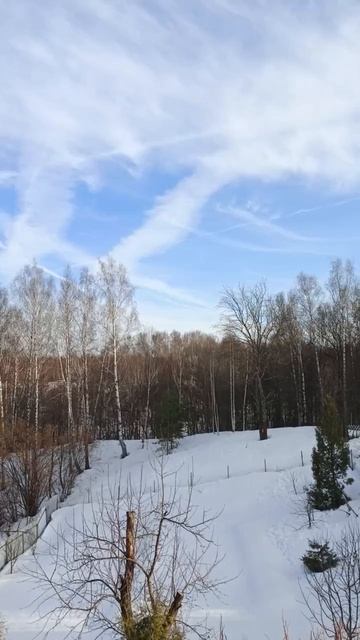 Оживленно было в небе